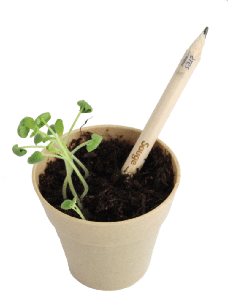 Le Crayon à Planter - Intégral Print